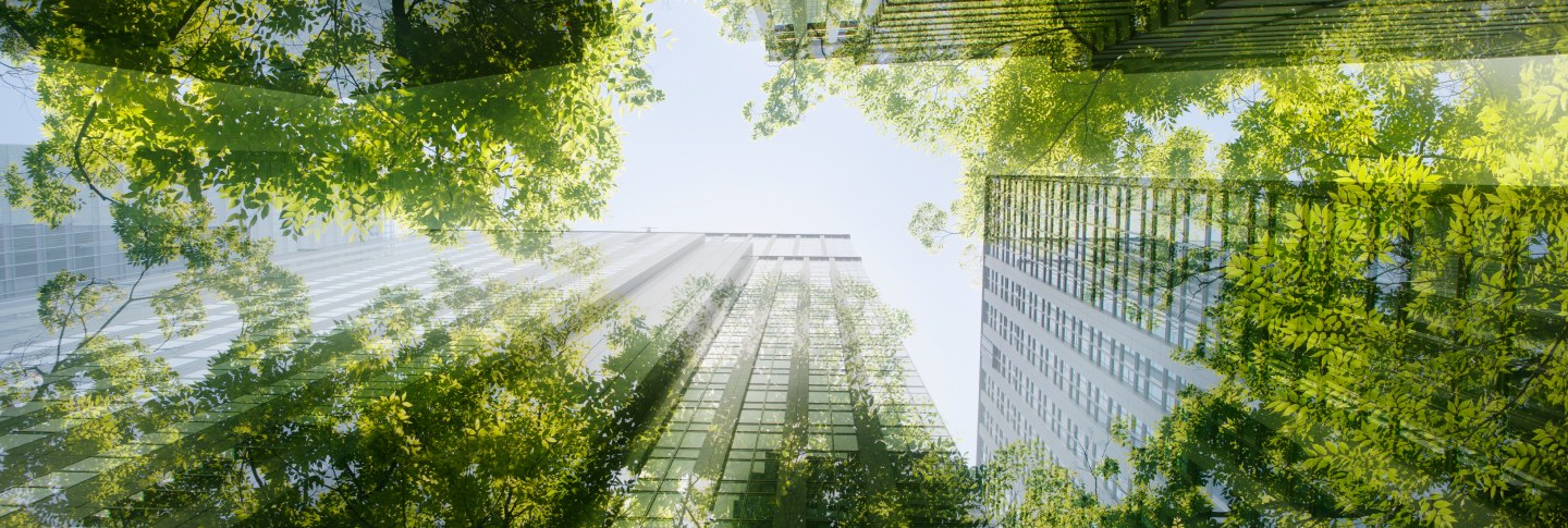 Professional Ethics: An Introduction to Environmental, Social, and Governance (ESG) for CPAs ...